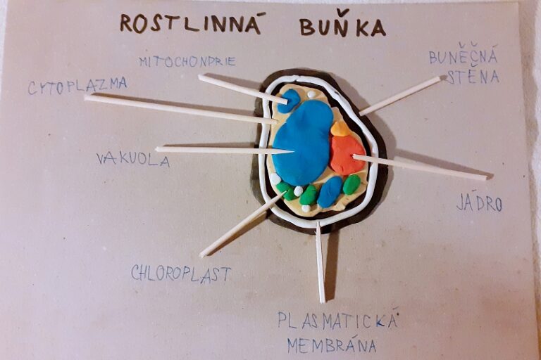 Bunka-2020-03 - I. základní škola